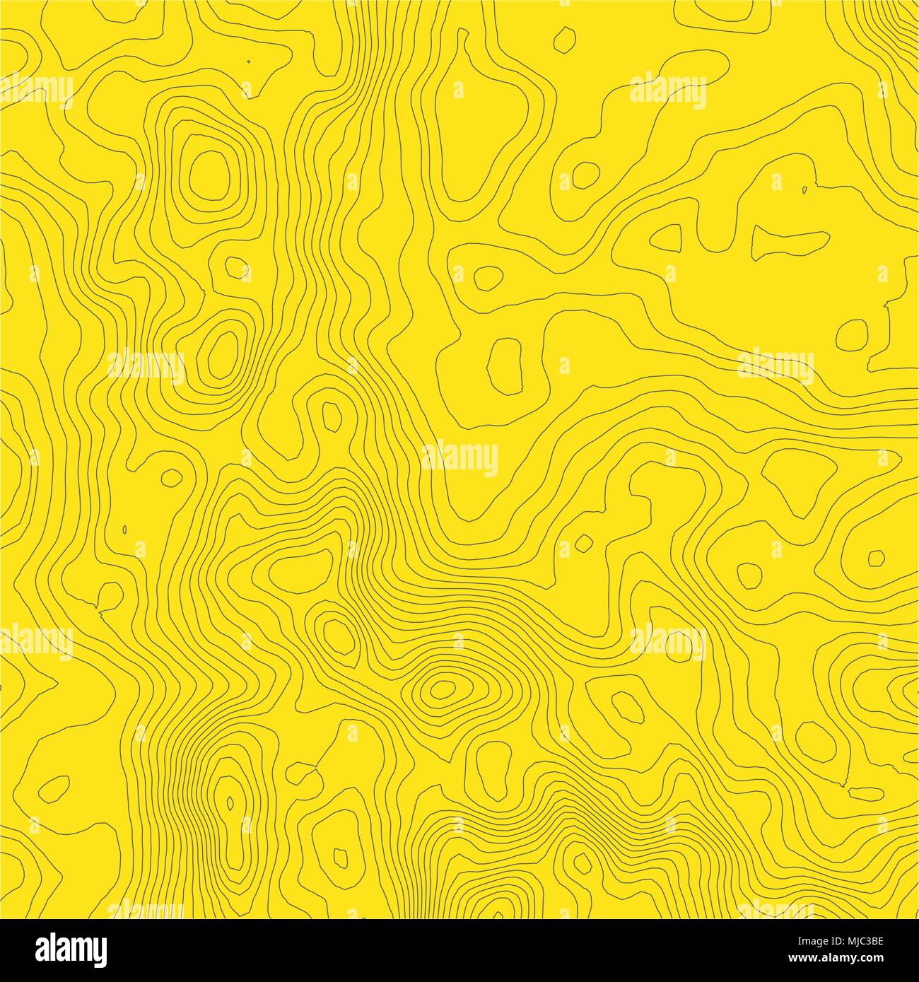 Topographic map background concept with space for your copy. Topography ...