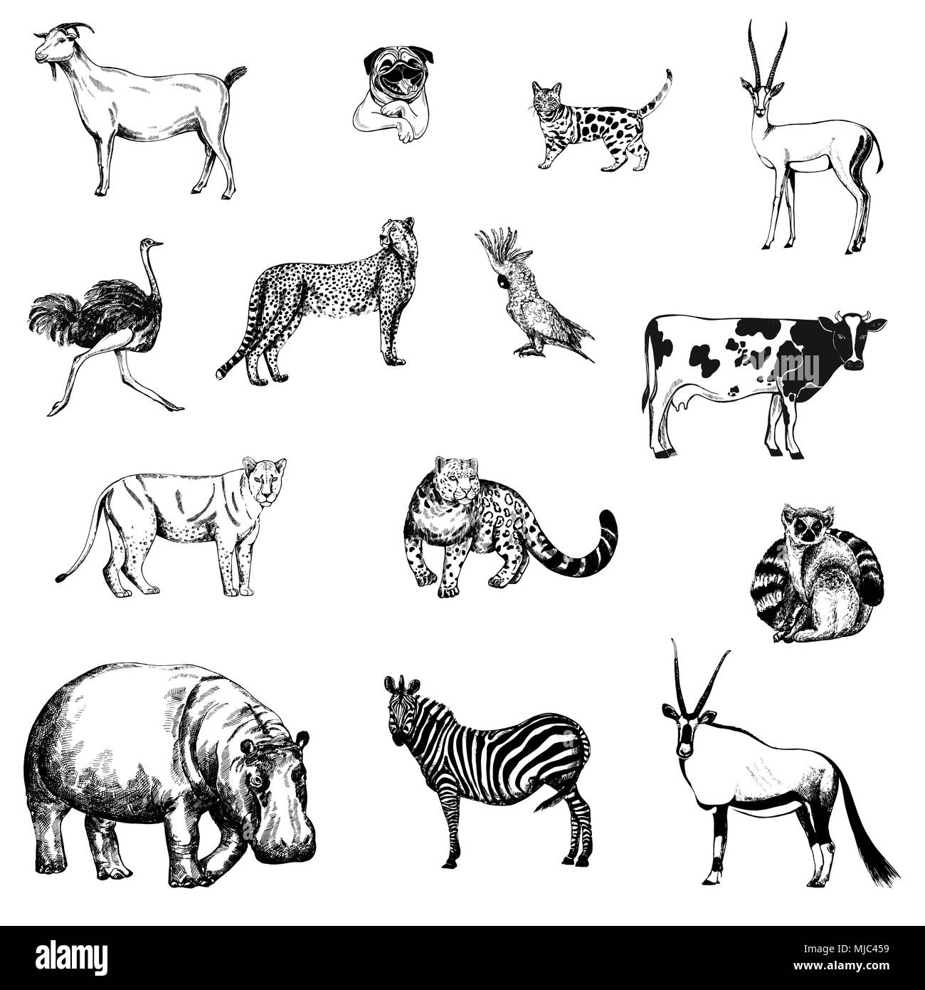 Set of hand drawn sketch style animals and birds isolated on white ...