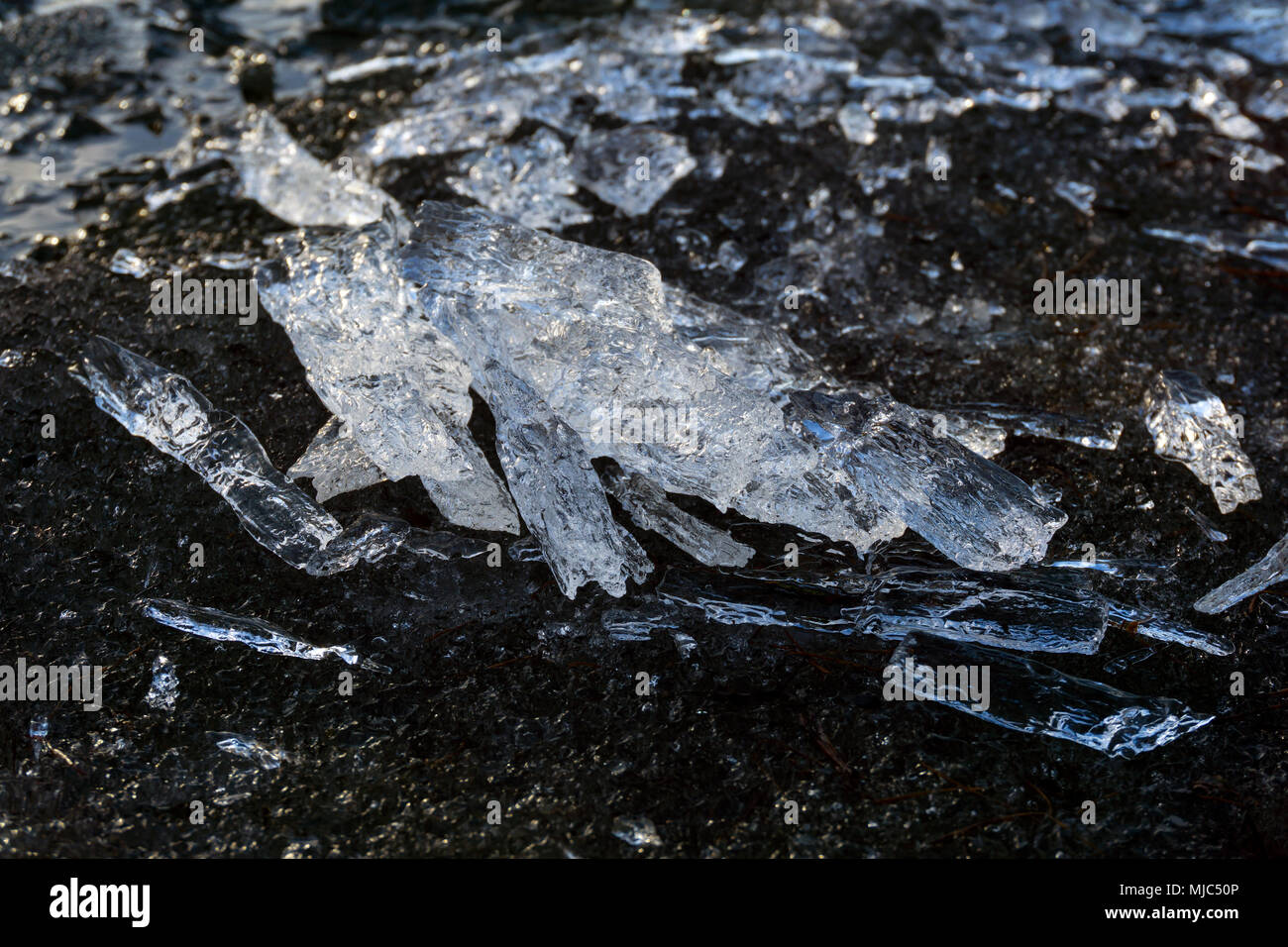 translucent melting ice in spring on the sandy shore of the reservoir ...