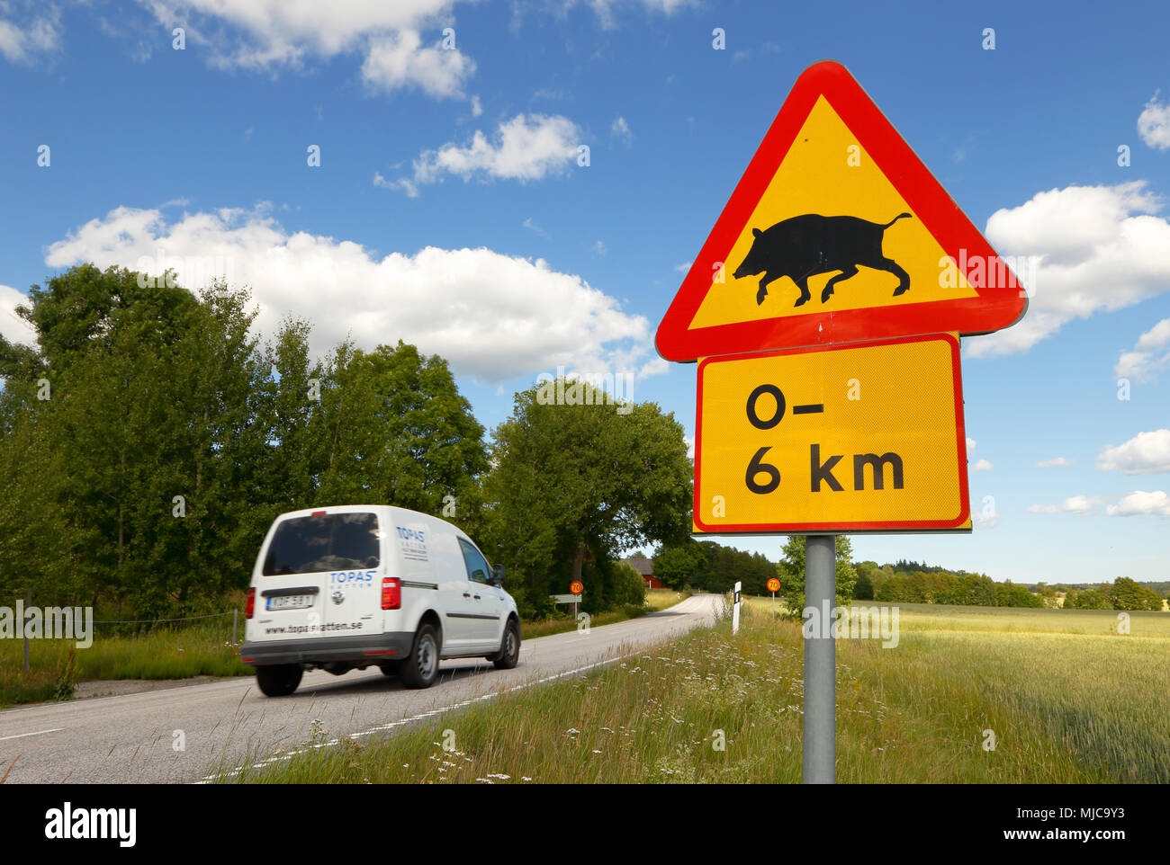 Wild boar road sign hi-res stock photography and images - Alamy