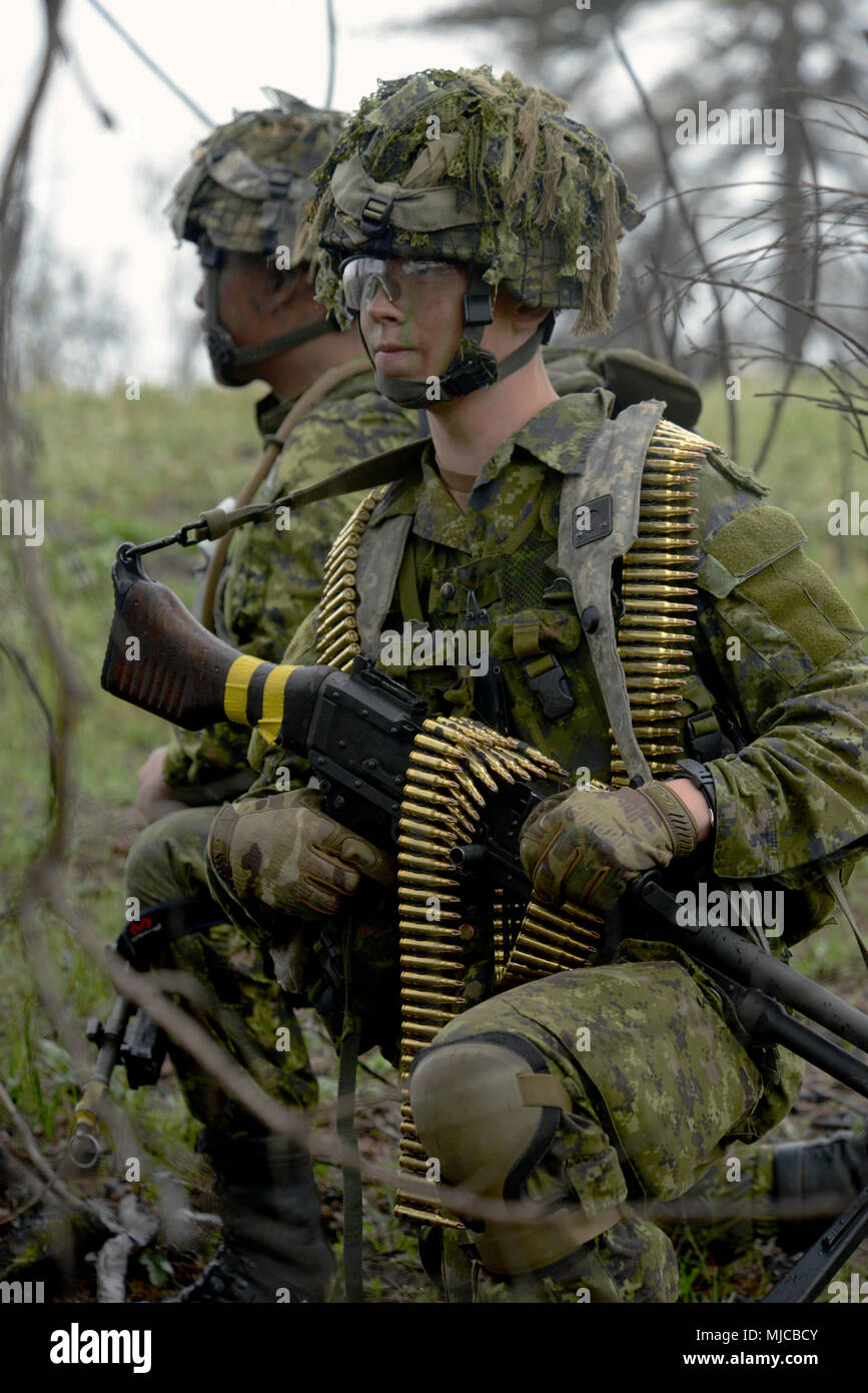 British columbia regiment hi-res stock photography and images - Alamy