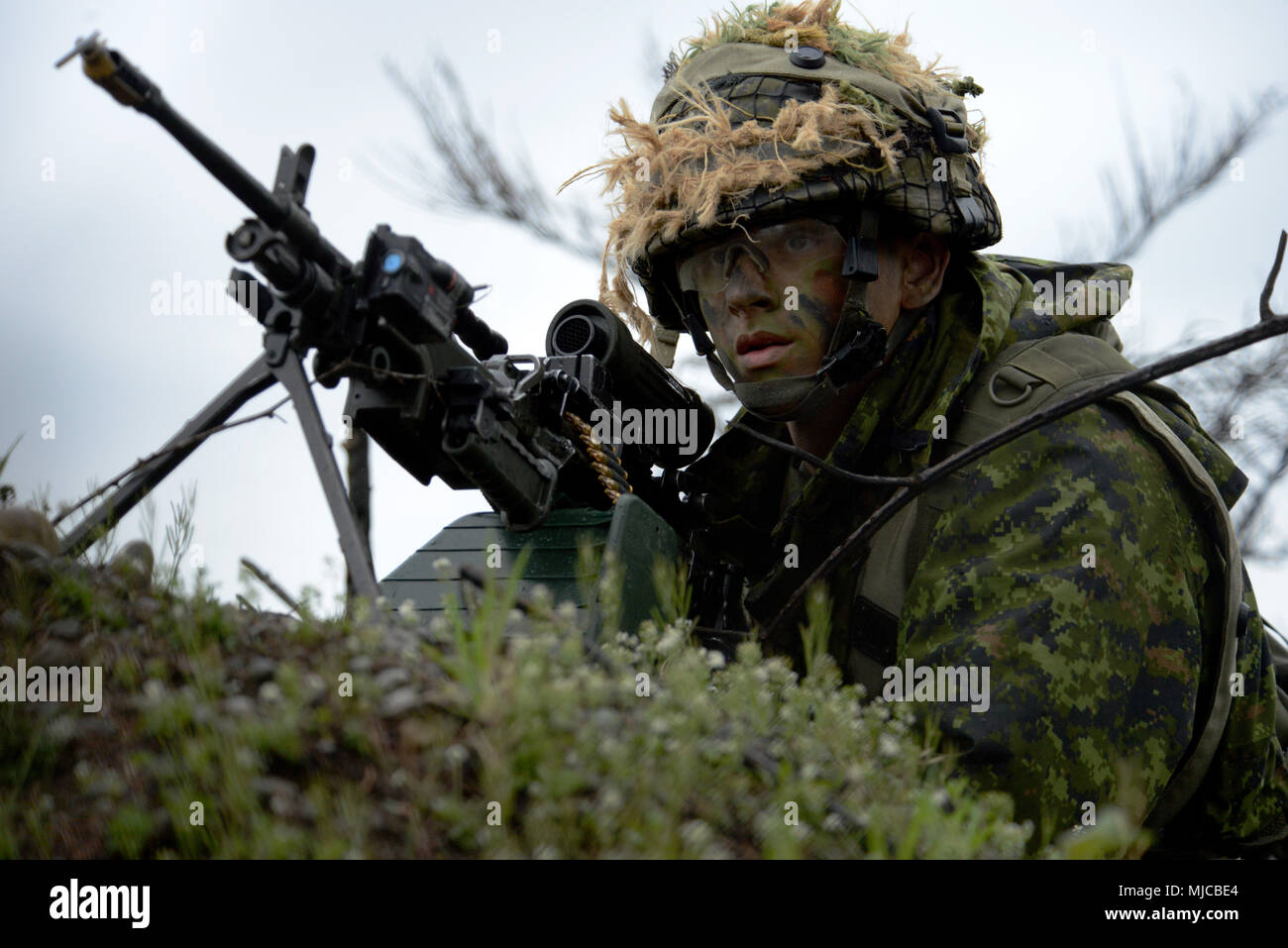 Canadian army private hi-res stock photography and images - Alamy