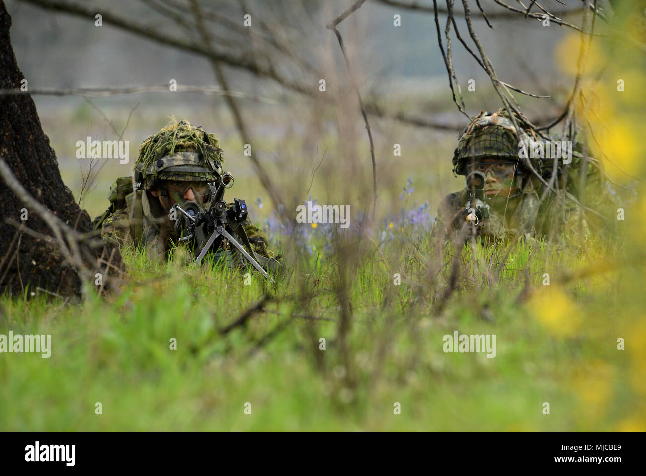 39 Canadian Brigade Group High Resolution Stock Photography and Images ...