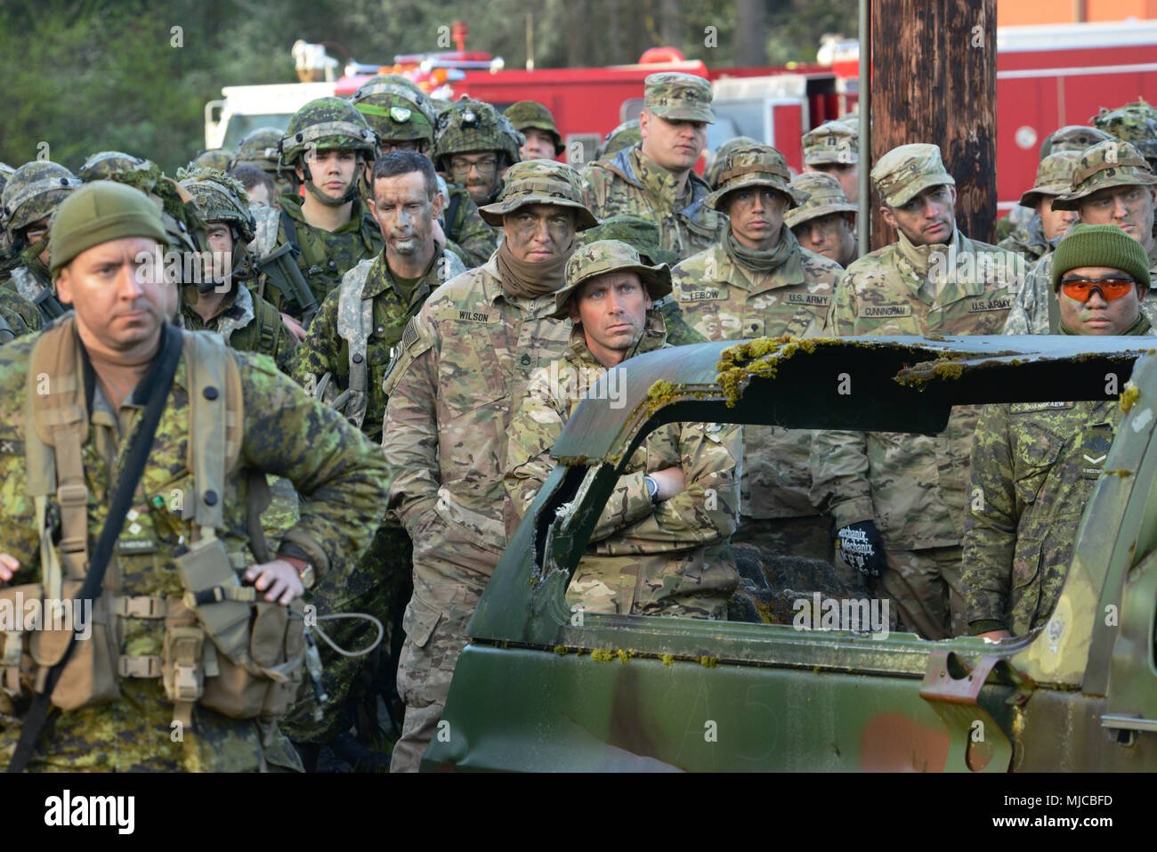 British columbia regiment hi-res stock photography and images - Alamy