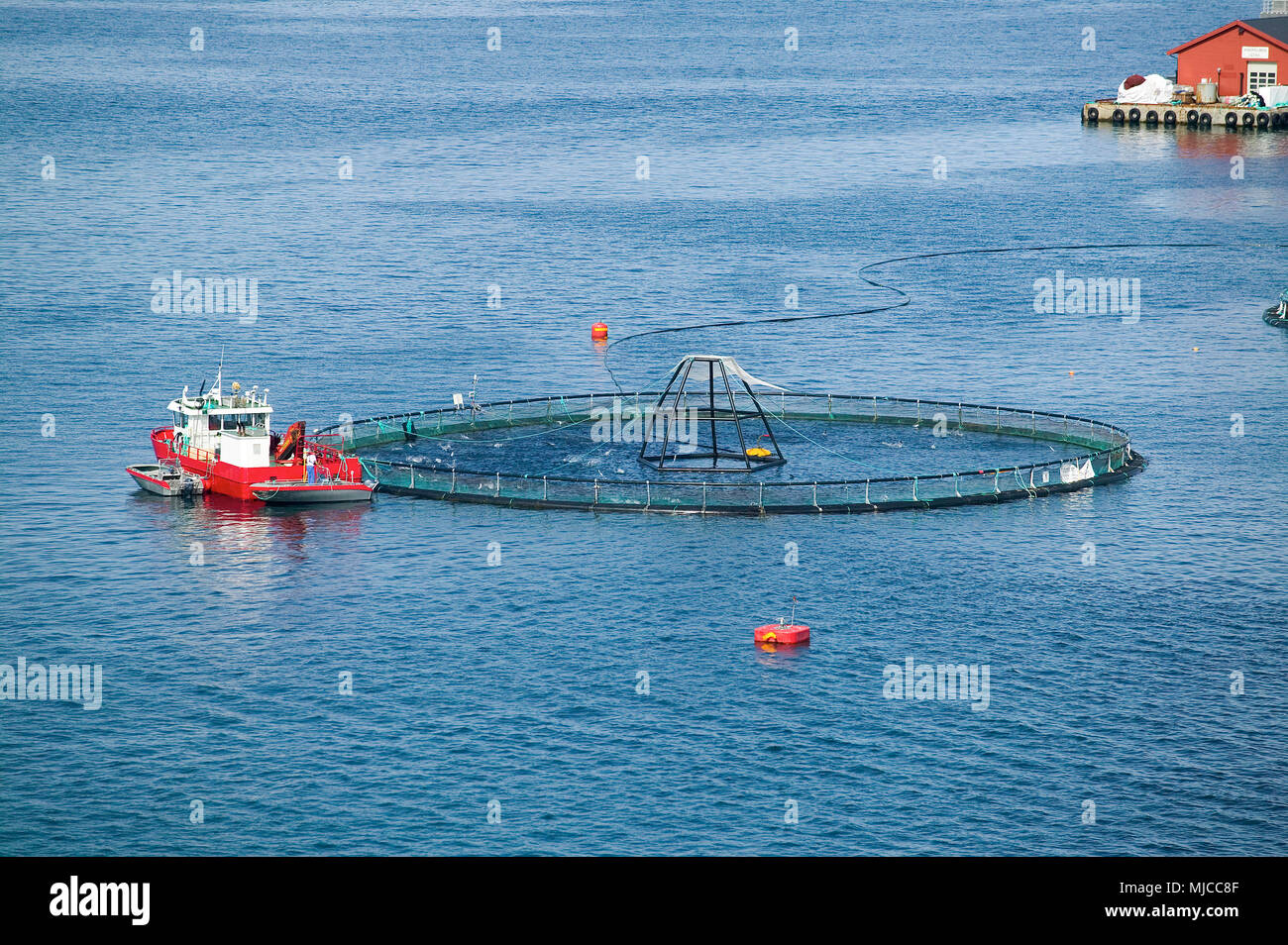 Fish farm in a Norwegian Fjord Stock Photo - Alamy