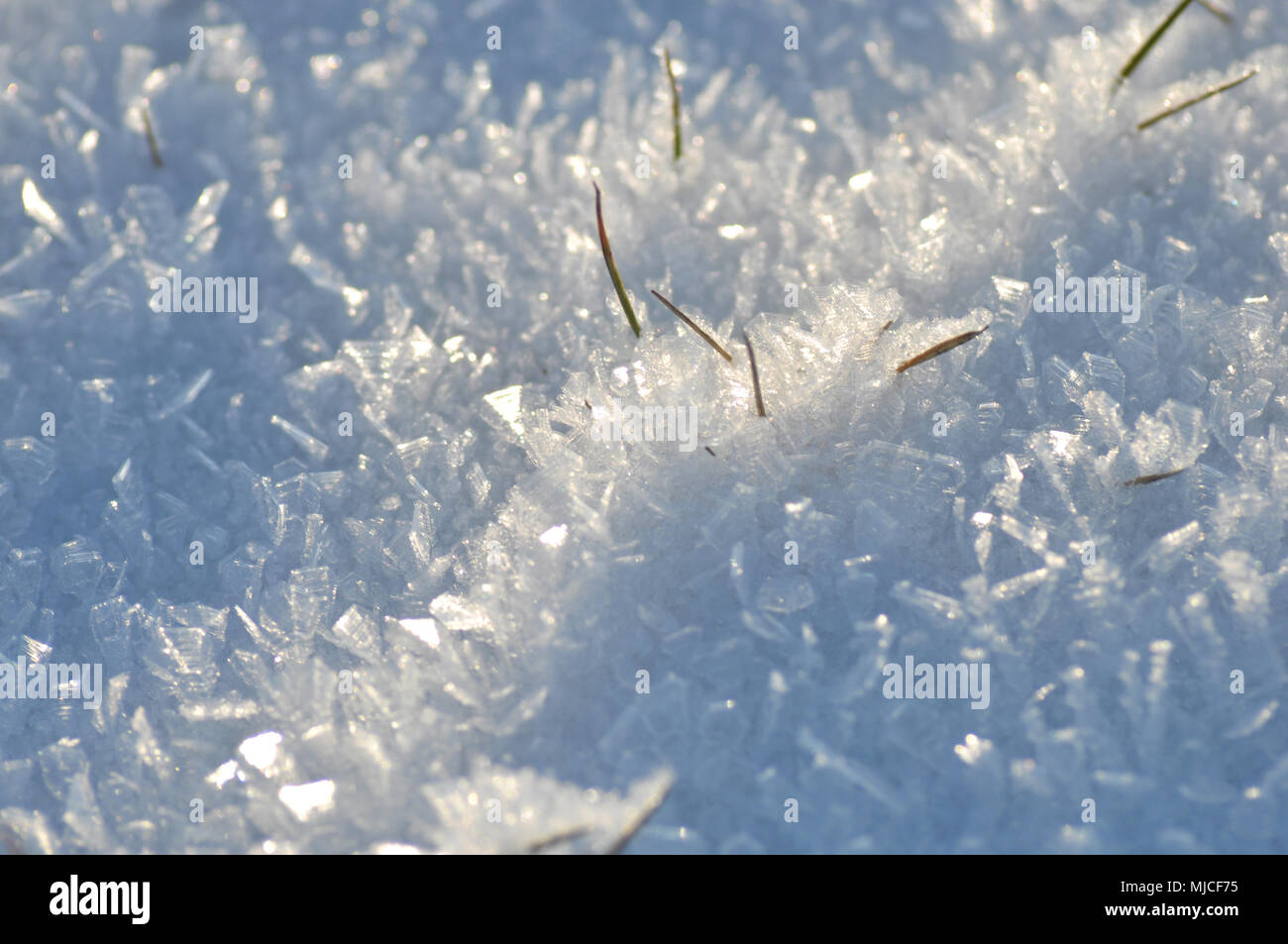The beautiful detail of ice crystalic structure on frosty ground. This ...