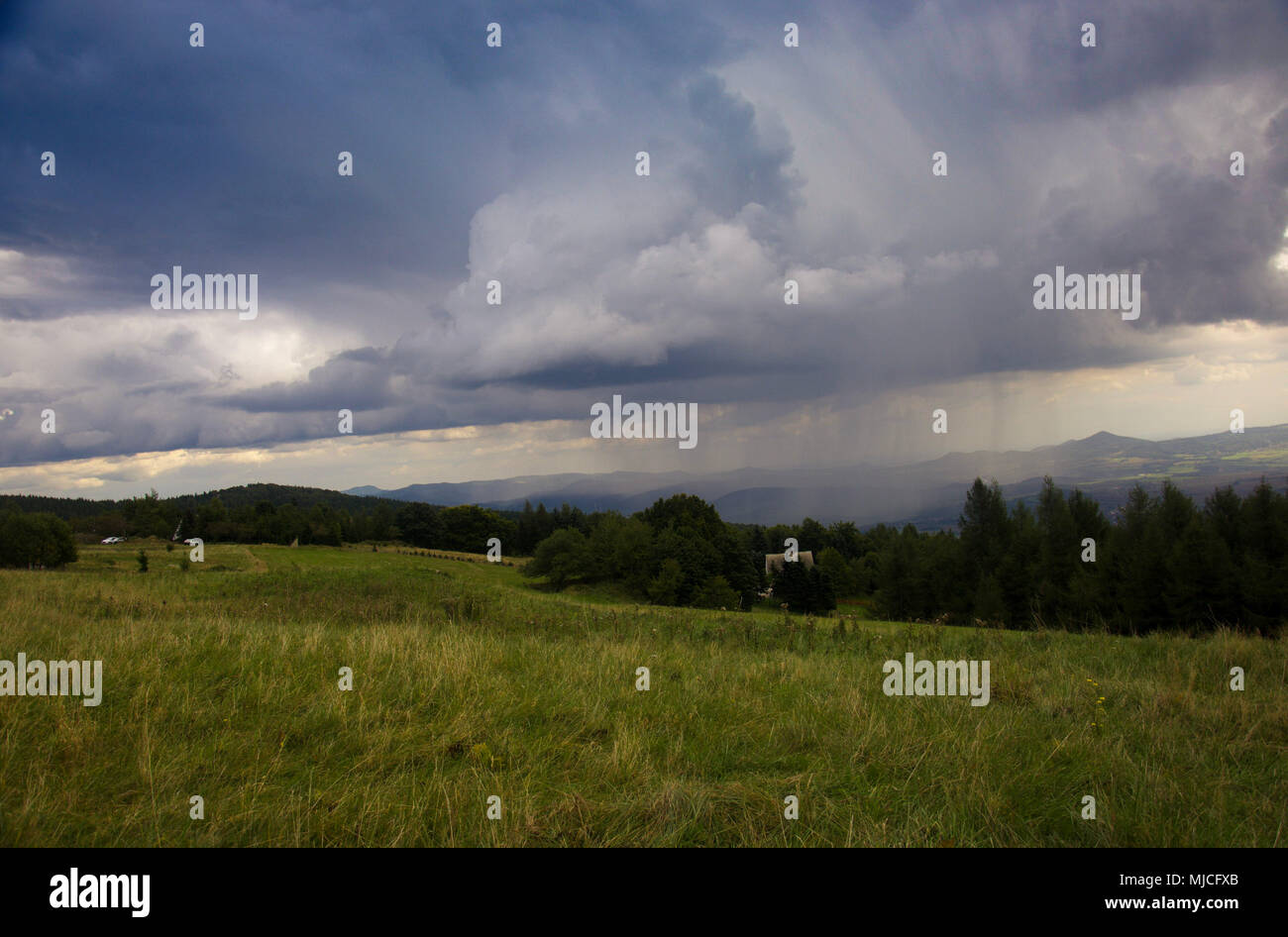 The grassy plain landscape with dramatic scenic sky with rain strands ...