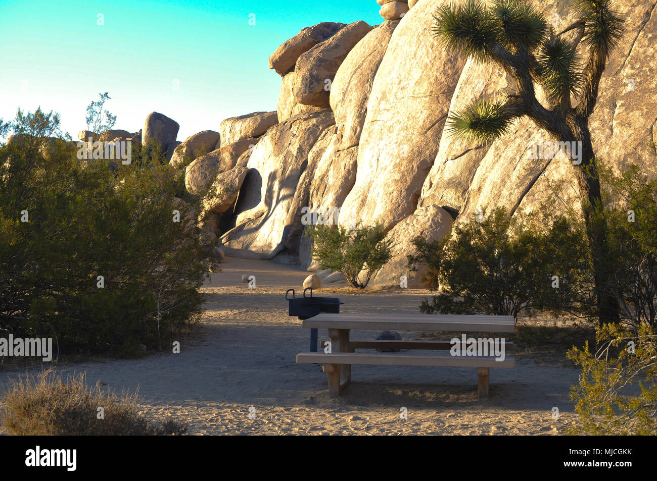 Dining table in the nature of Joshua Tree Natonal Park while beautiful ...
