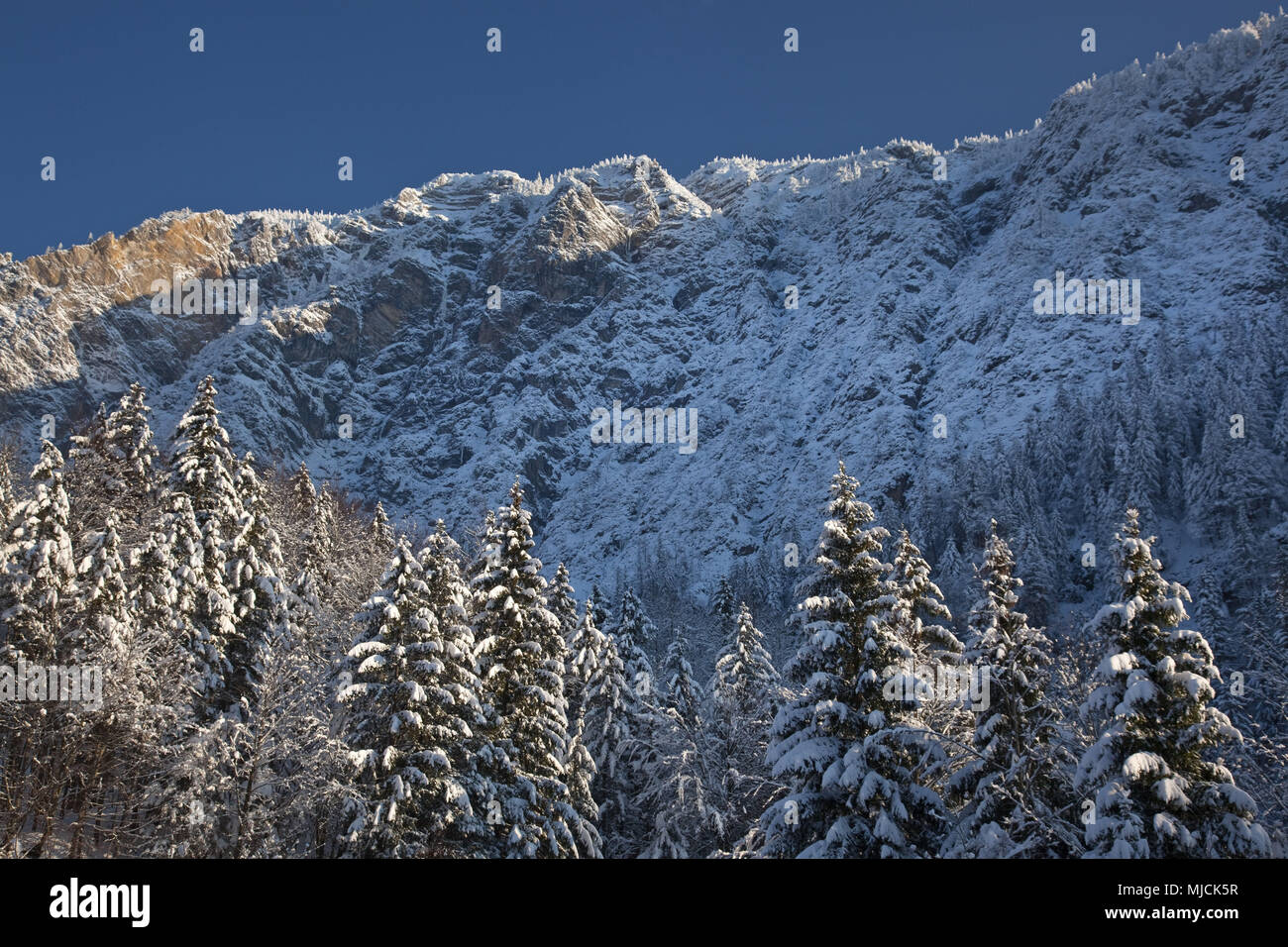 Winter in the mountains, Kochel am See, Jochberg, Upper Bavaria ...