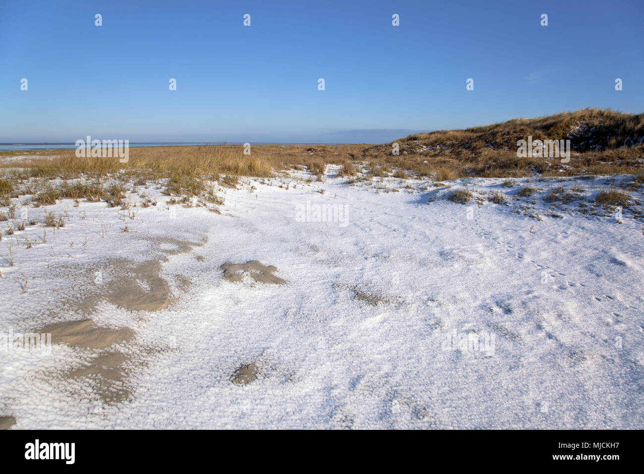 Germany, Schleswig - Holstein, North Sea coast, North Frisia, peninsula ...