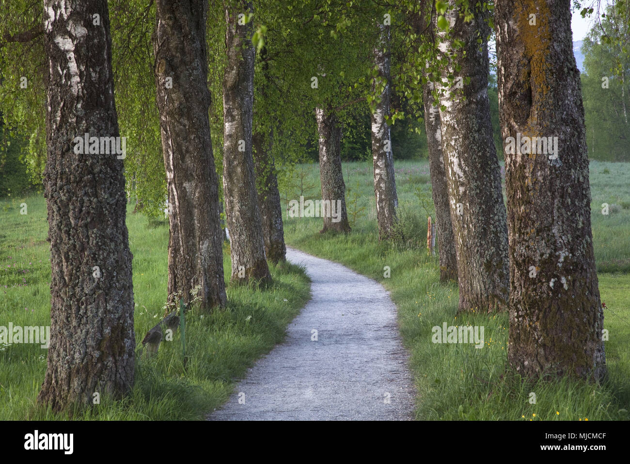 Autumn In Uffing In The Staffelsee High Resolution Stock Photography ...