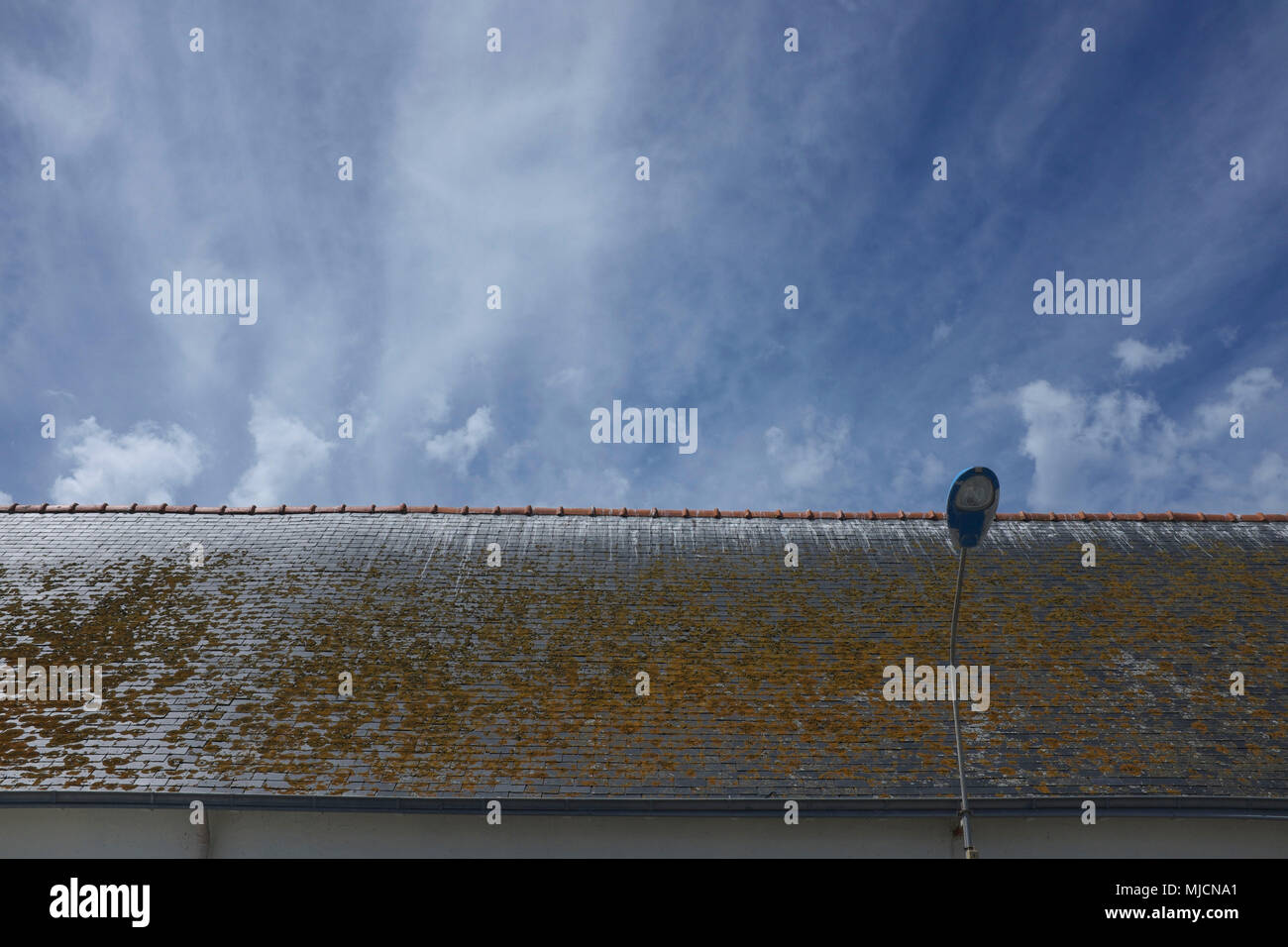 Fish roof hi-res stock photography and images - Alamy