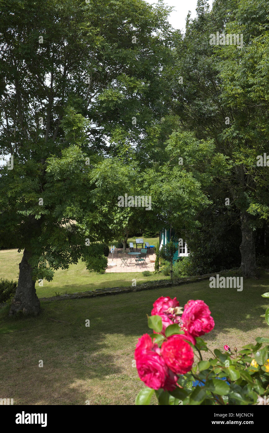Garden trees roses flowers hi-res stock photography and images - Alamy