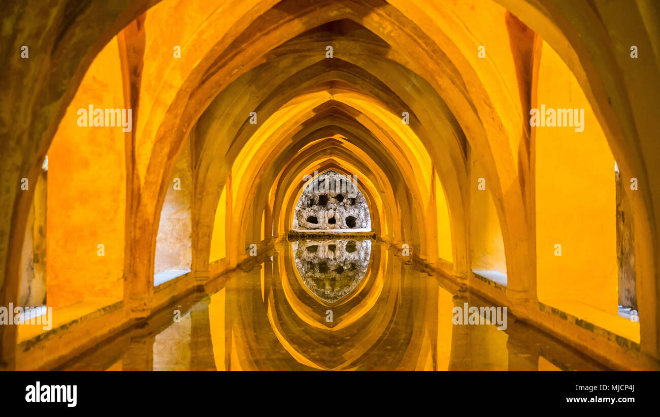 Europe, Spain, Andalusia, Seville, Real Alcazar, Gothic palace, vault ...