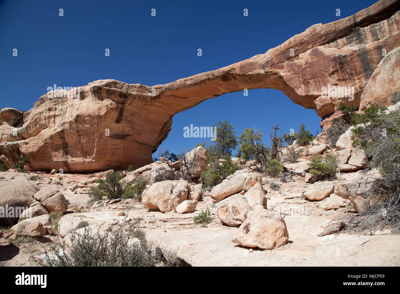 Utah, Natural Bridges National Monument, stone arch Stock Photo - Alamy