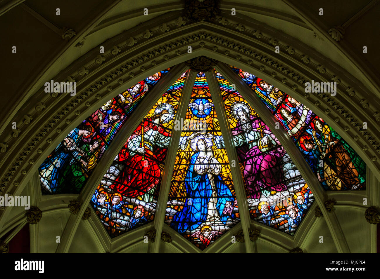 Church window of Saint Mary's Basilica, Halifax, Canada Stock Photo - Alamy