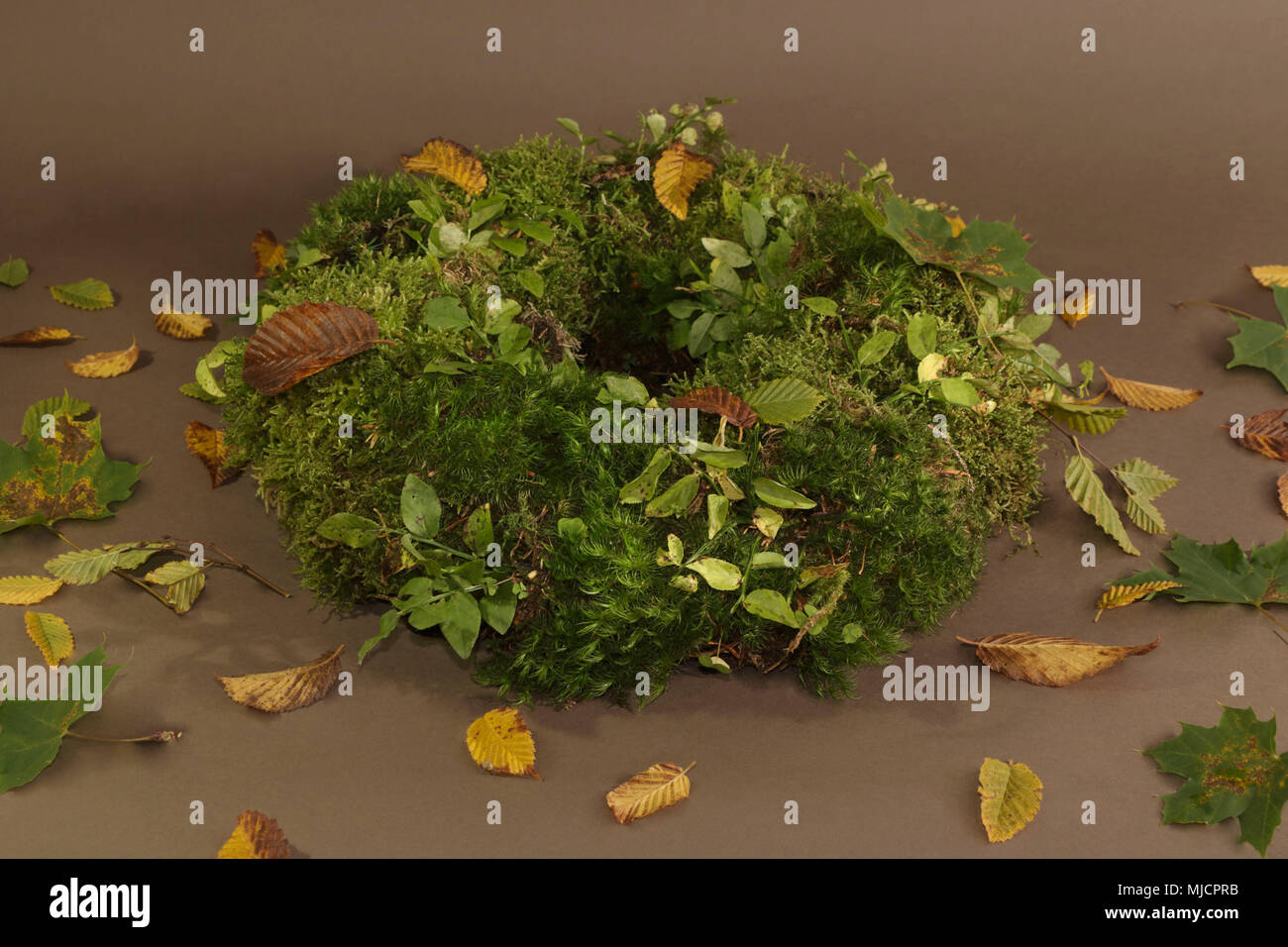 Moss wreath with autumn foliage Stock Photo - Alamy