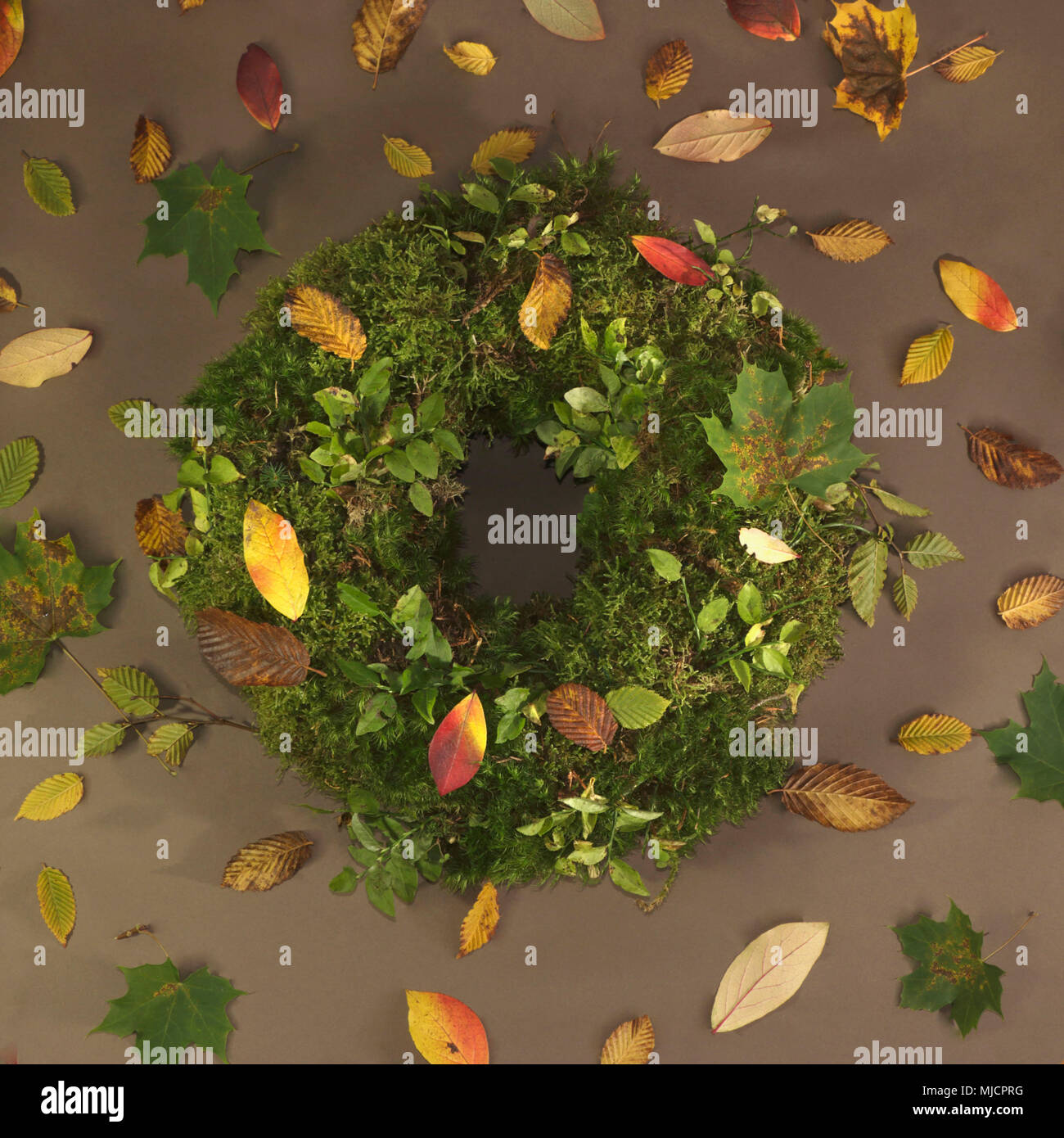 Moss wreath hi-res stock photography and images - Alamy