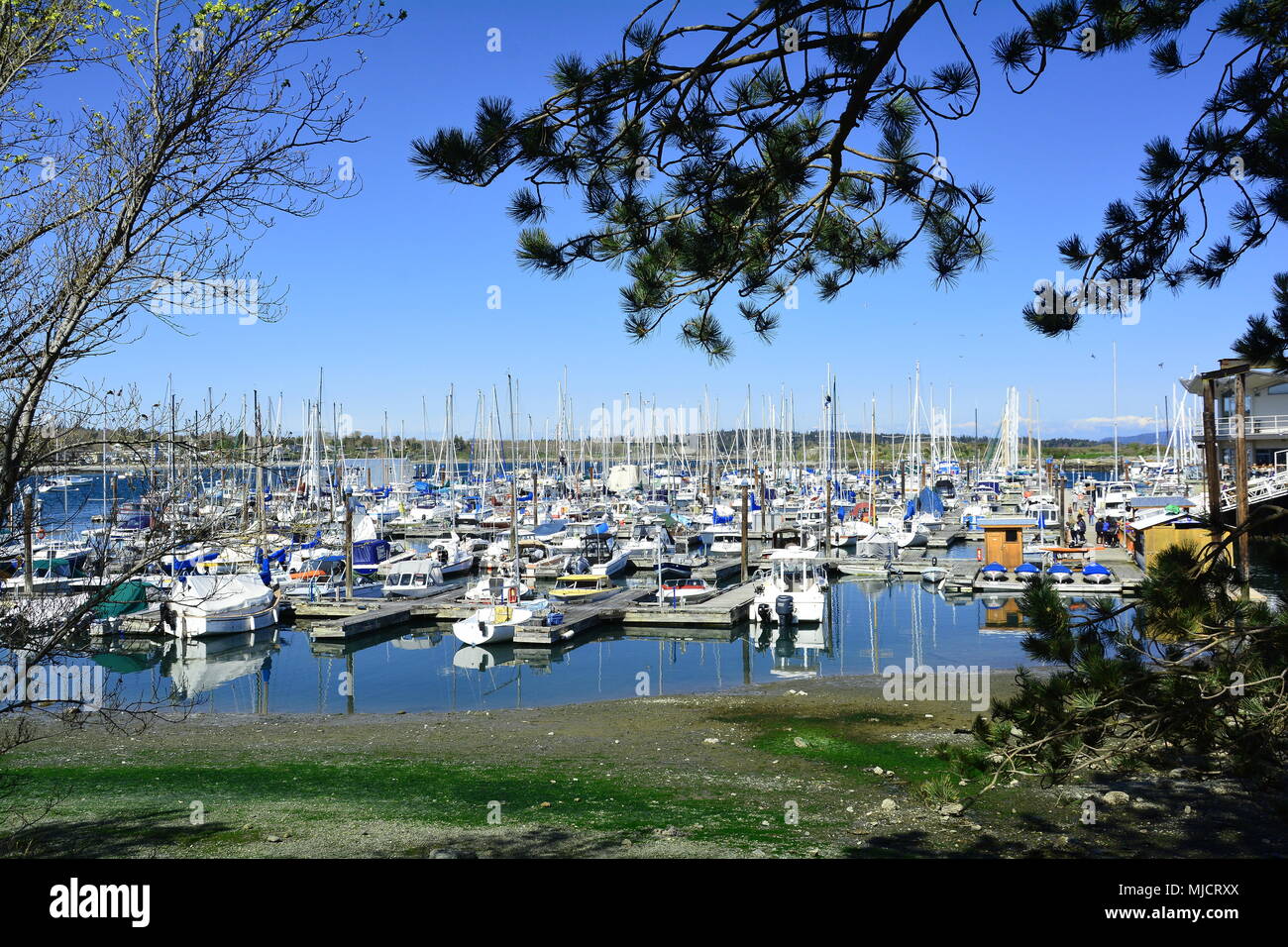 Victoria oak bay hi-res stock photography and images - Alamy