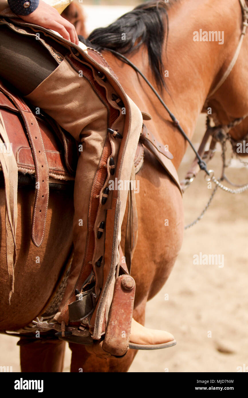 Charreada hi-res stock photography and images - Alamy