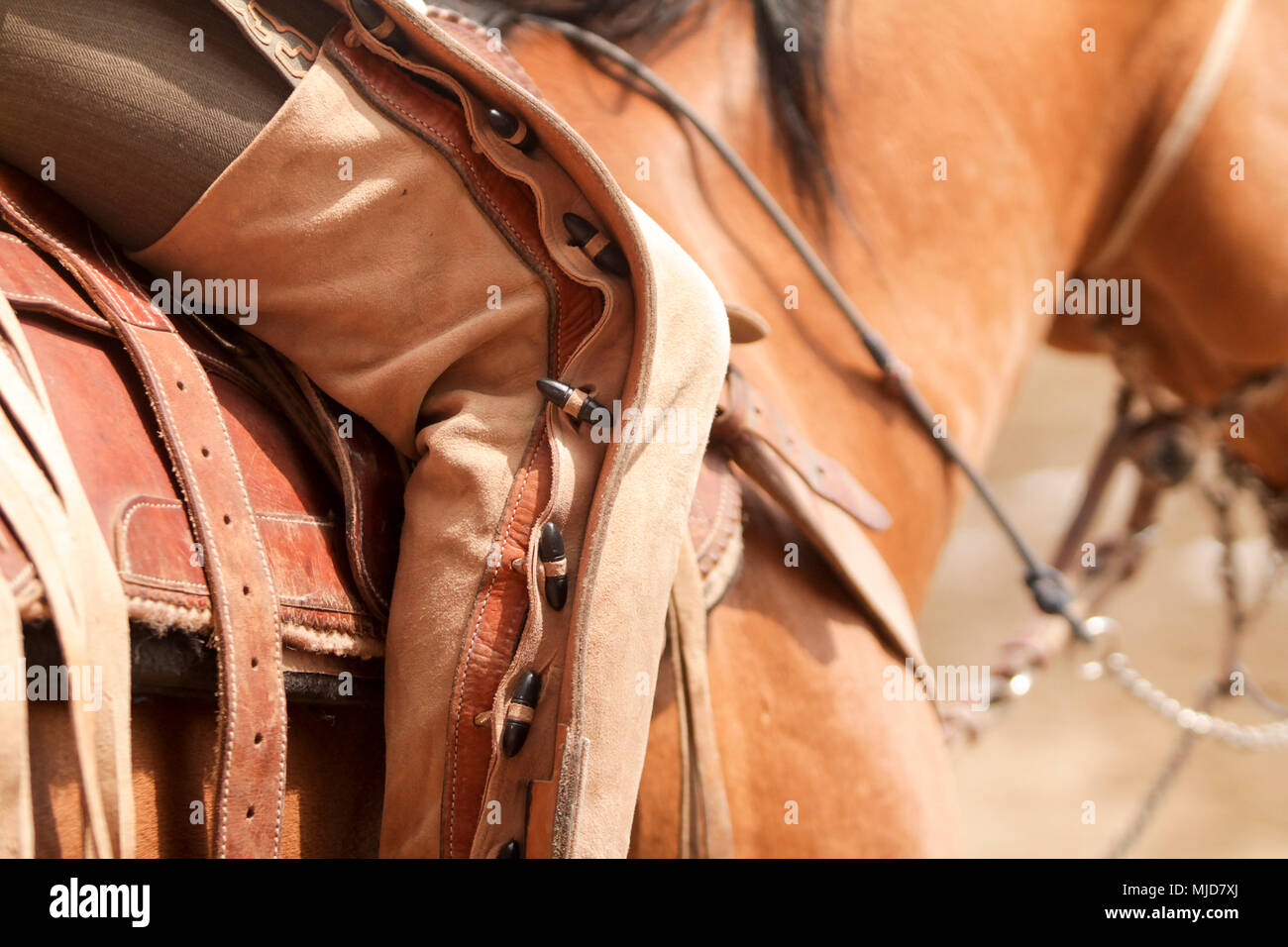 Charreada High Resolution Stock Photography and Images - Alamy