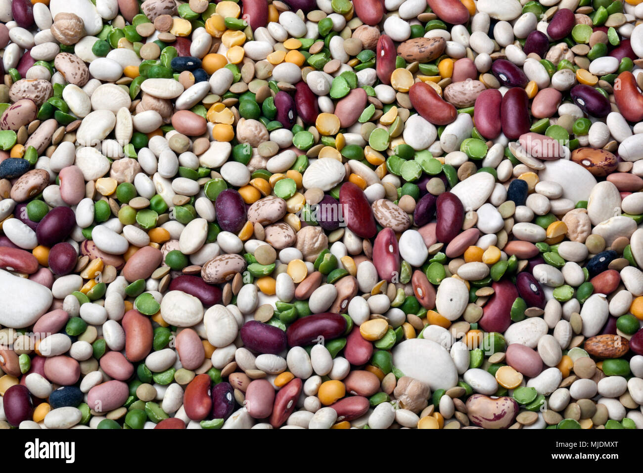Still life of assorted dry beans: Northern, Pinto, Green Split Pea ...