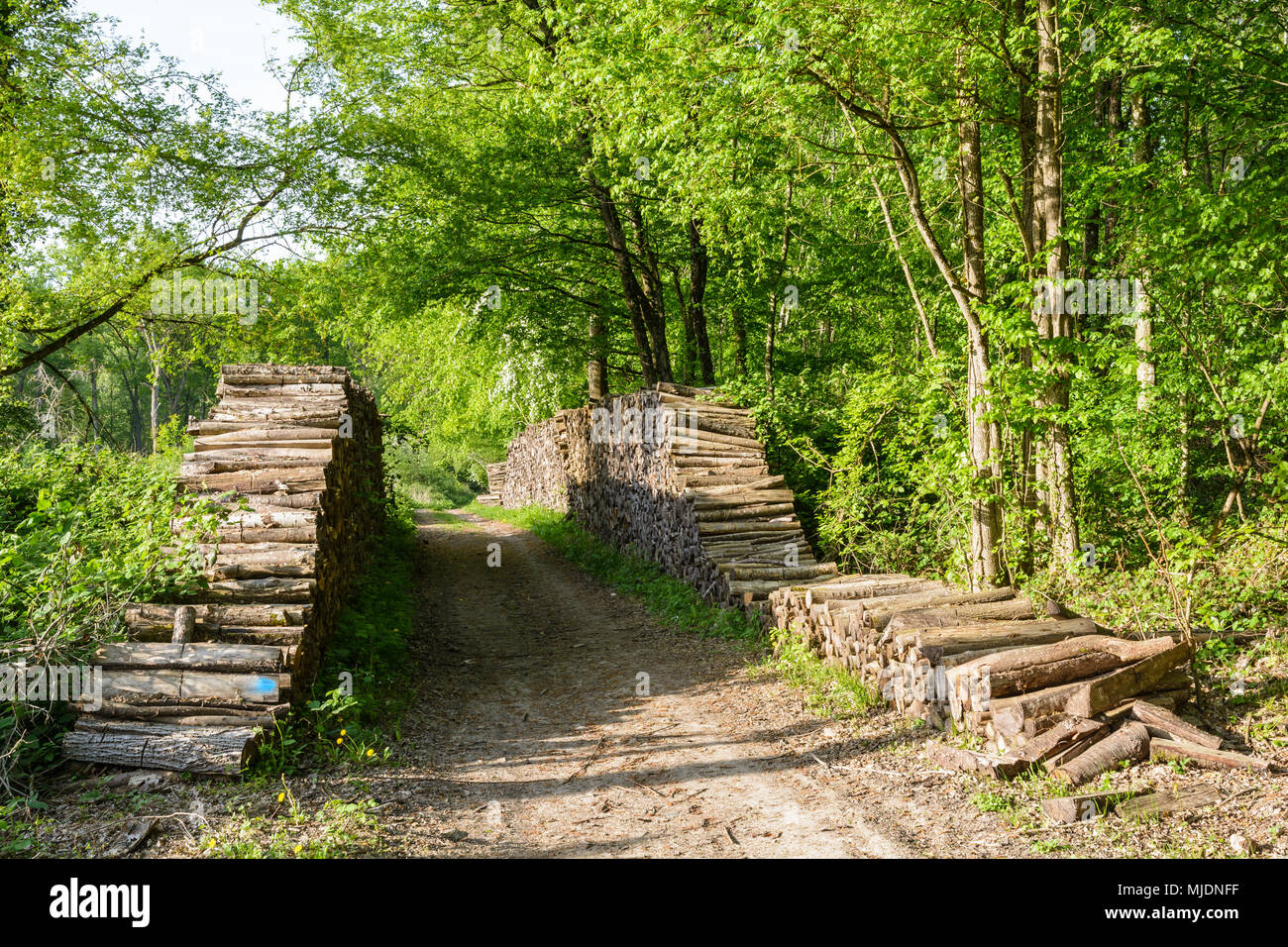 Cut cleanly hi-res stock photography and images - Alamy