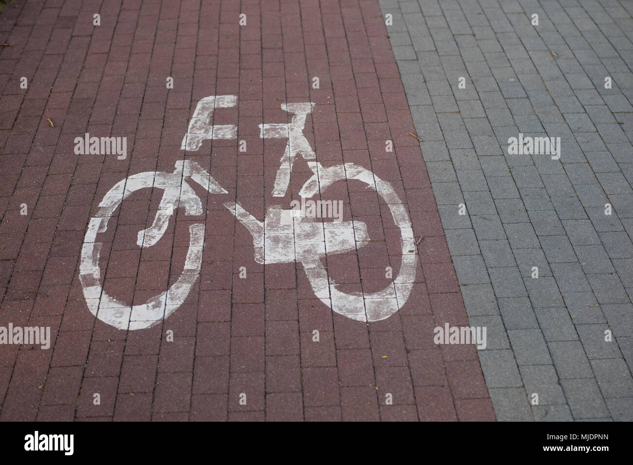 Bicycle path with horizontal marking. Designated place for cycling ...