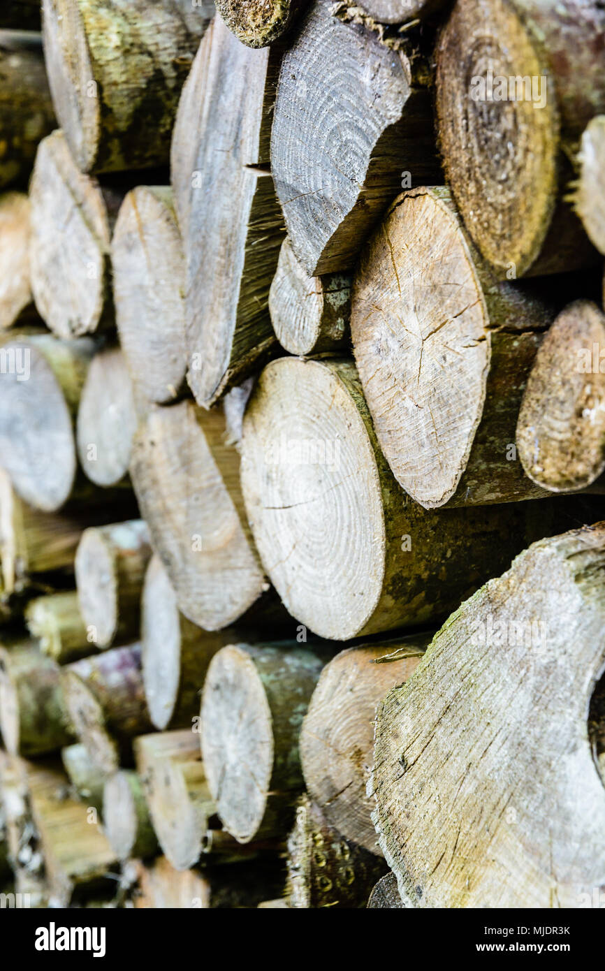 Close-up view of weathered logs of various size and shape stacked ...