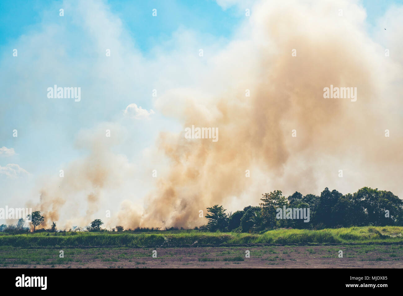 Fire burning rice straw in hi-res stock photography and images - Alamy