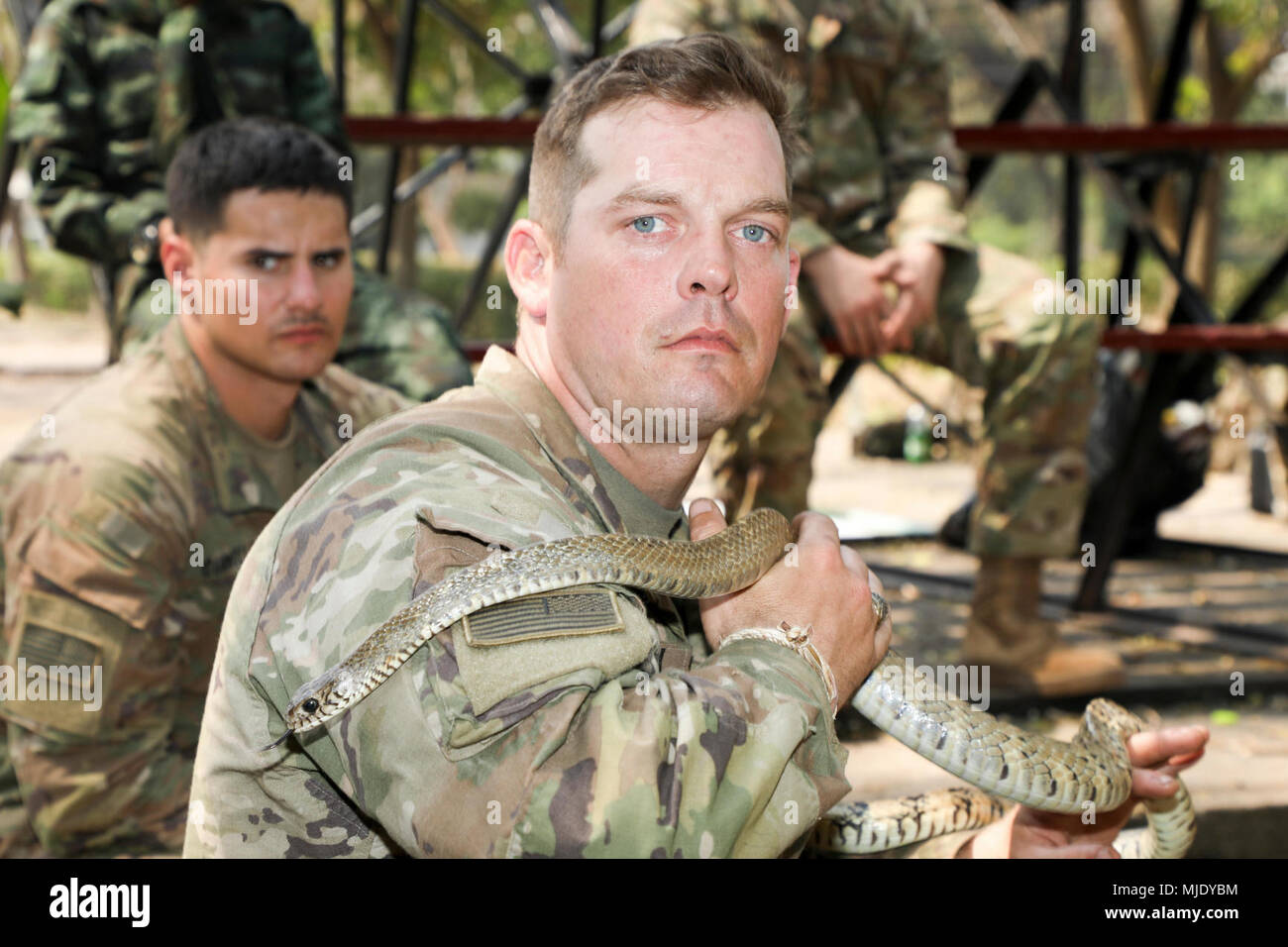 Federal snake complex hi-res stock photography and images - Alamy