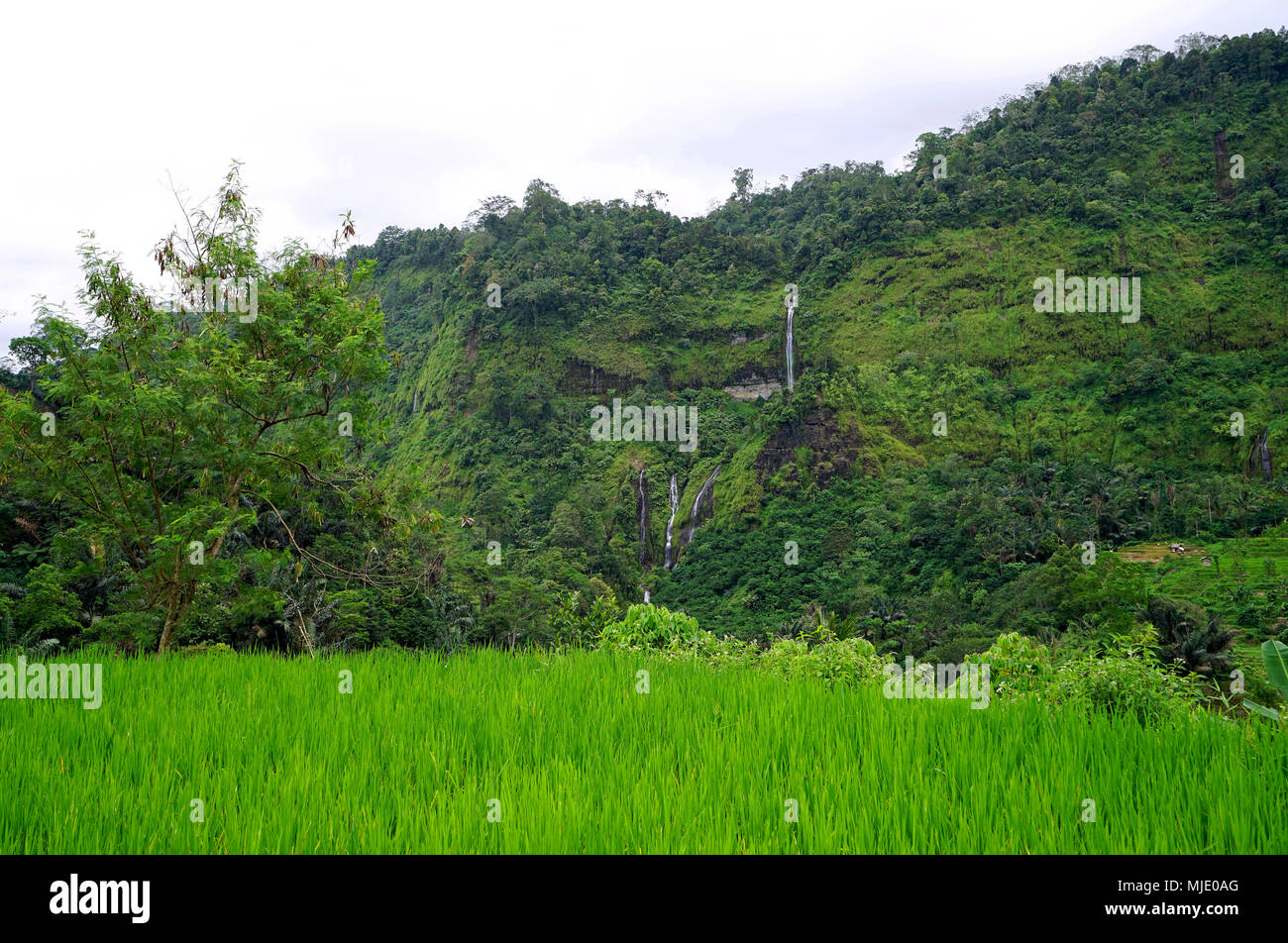 Cidaun hi-res stock photography and images - Alamy