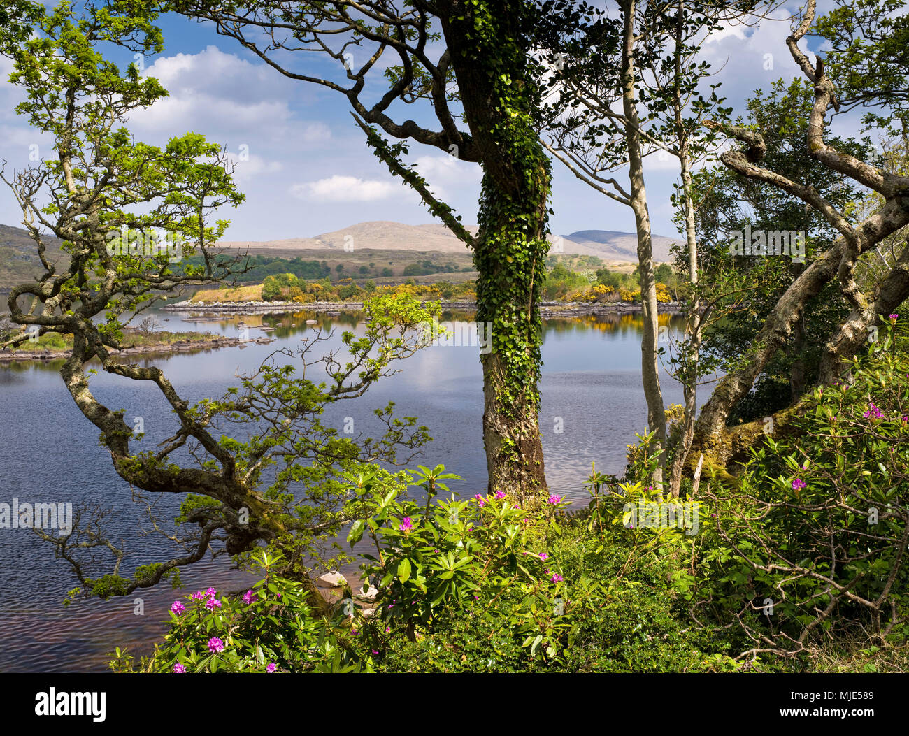 Ireland, Donegal, Glenveagh national park, view to the Lough Veagh lake ...