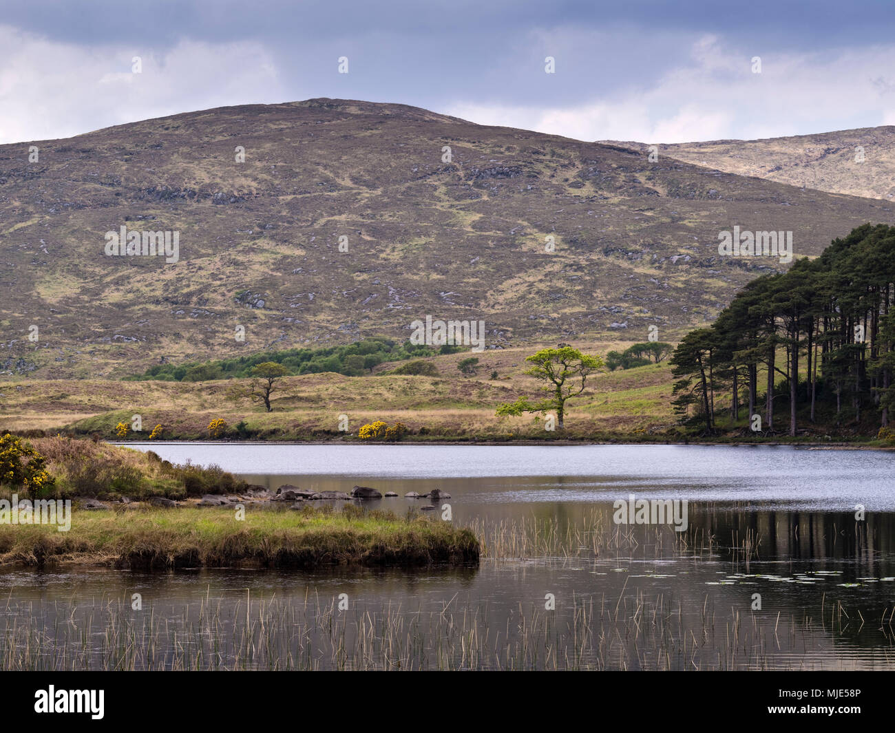 Ireland, Donegal, Glenveagh national park, view to the Lough Veagh lake ...