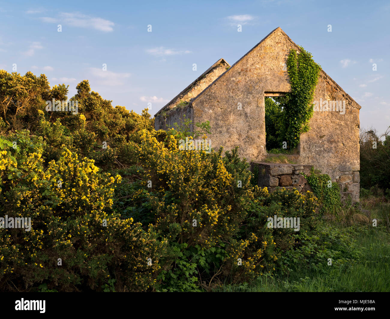 House donegal nature hi-res stock photography and images - Alamy