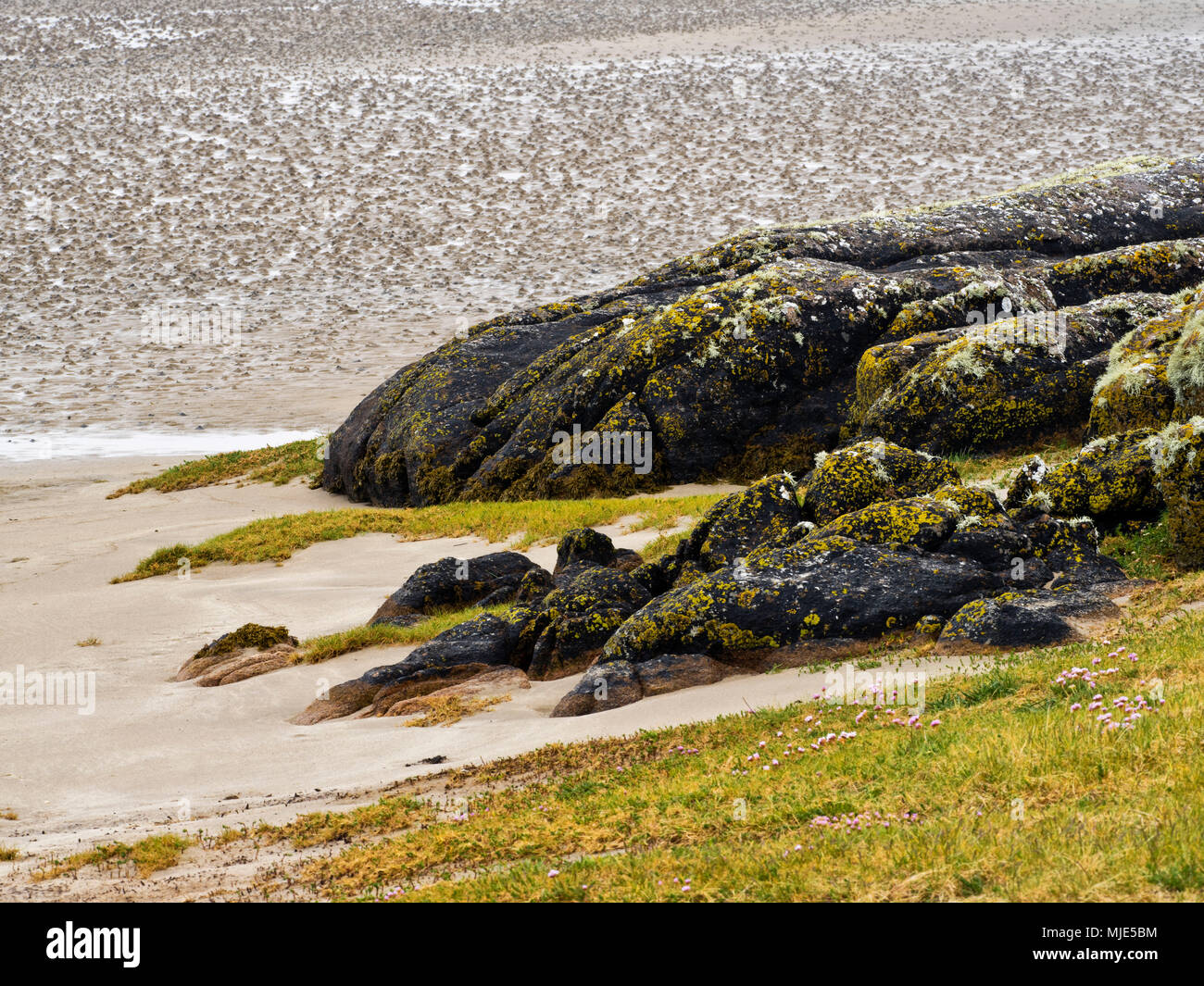 Ireland, Donegal, low tide at the Gweedore Bay close Derrybeg Stock ...