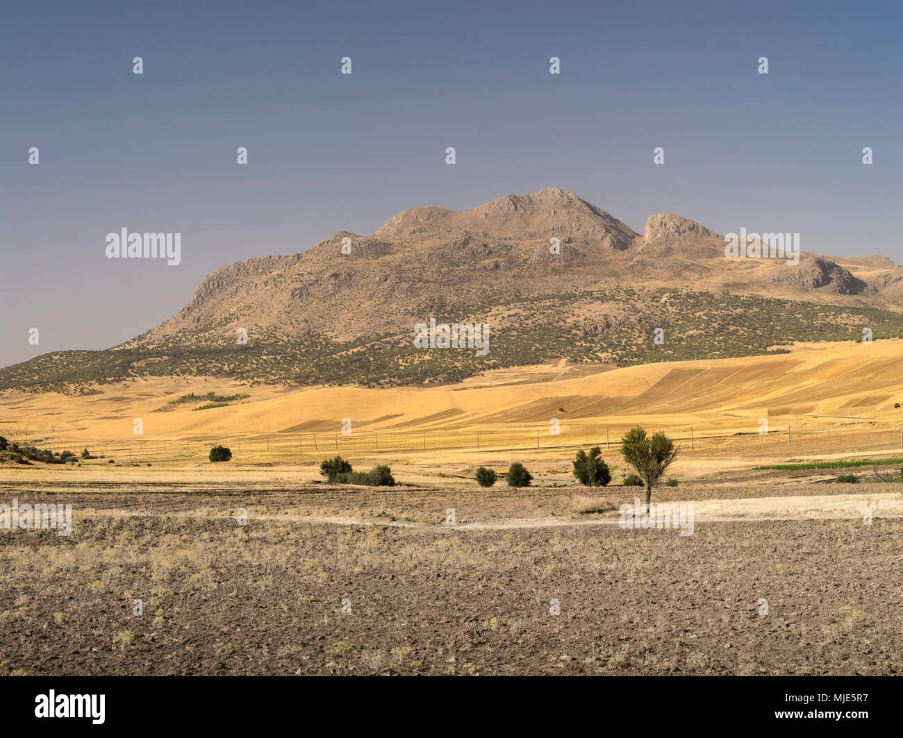 Arid iran hi-res stock photography and images - Alamy