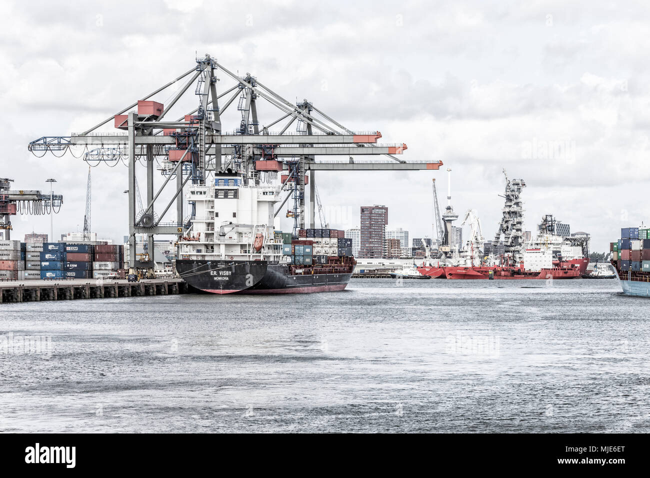 Container ship in the Port of Rotterdam Stock Photo - Alamy
