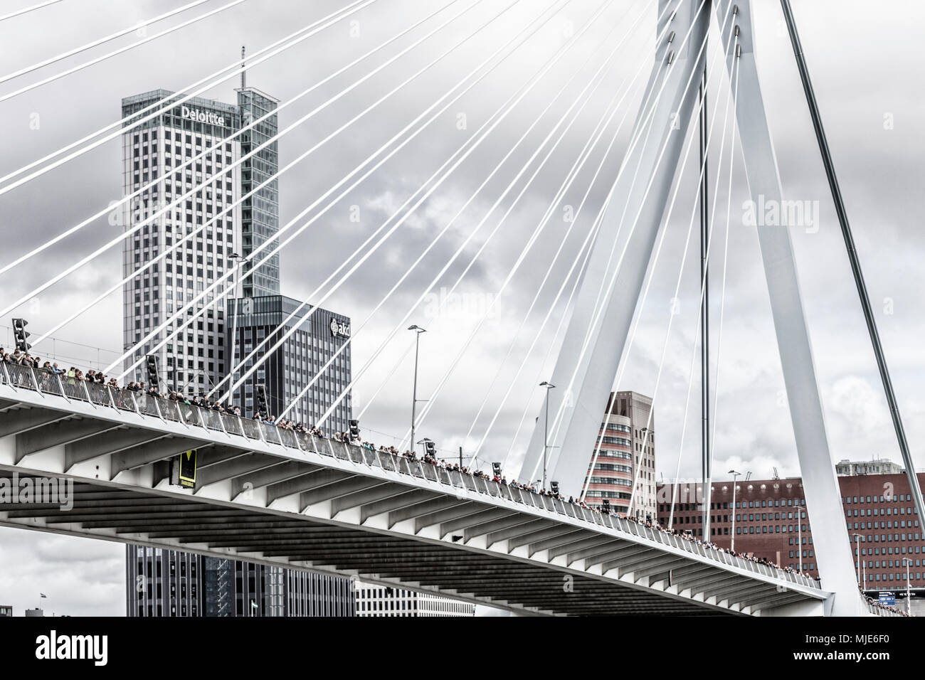 Rotterdam bridges hi-res stock photography and images - Alamy