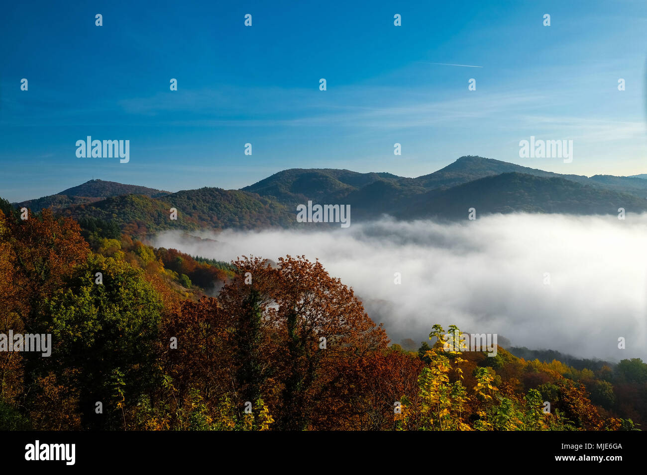 Autumn magic in the Siebengebirge (hill range of the German Central ...