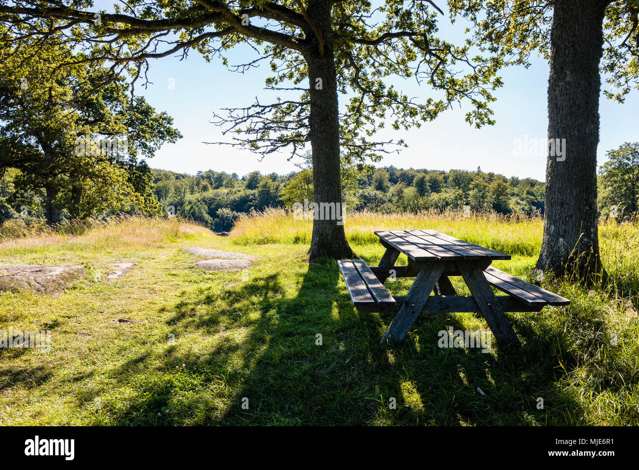 Table hike hi-res stock photography and images - Alamy