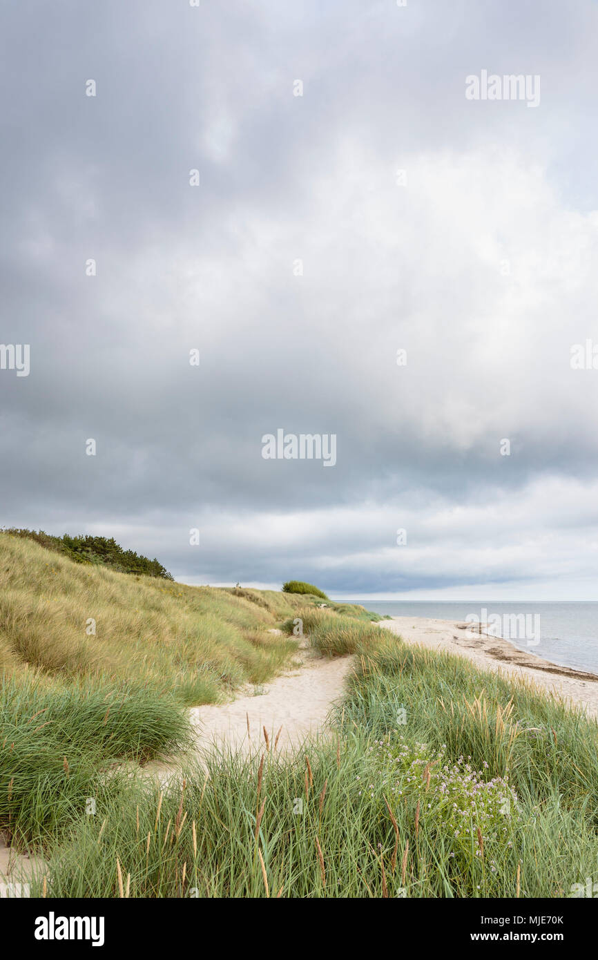 Dark clouds over the beach of vester somarken hi-res stock photography ...
