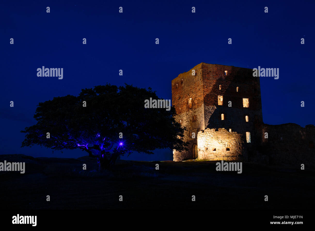 The illuminated, huge residential tower of the Hammershus castle ruin ...
