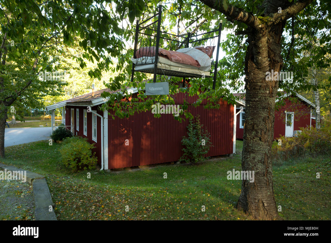 Welcome sign on the tree Stock Photo - Alamy