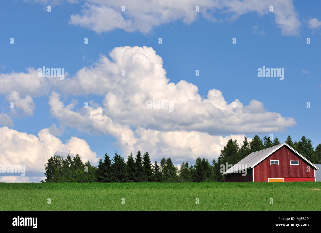 Barn in farm field. Cumulus clouds in the sky Stock Photo - Alamy