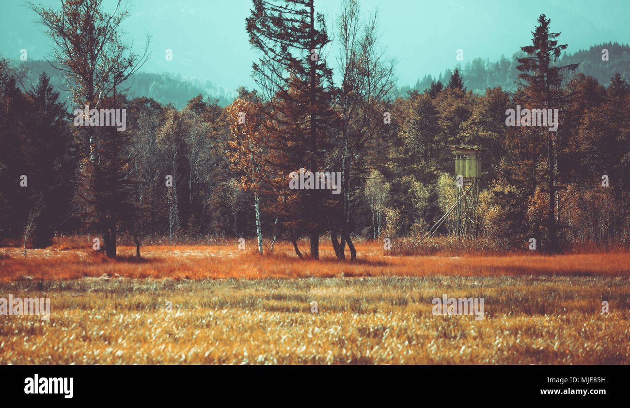 Tree stand hunting hi-res stock photography and images - Alamy