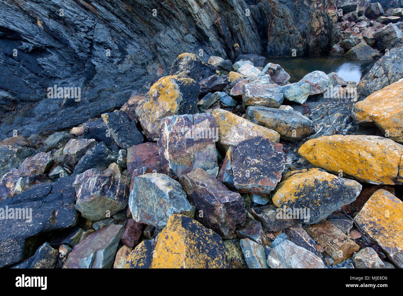 French cliff coast of the Armorican massif Stock Photo - Alamy