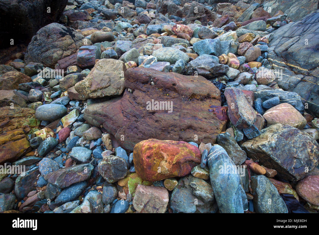 French cliff coast of the Armorican massif Stock Photo - Alamy