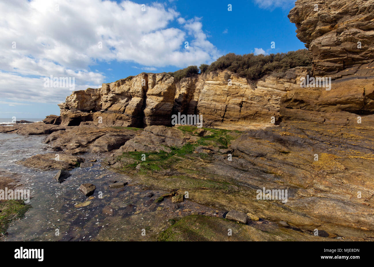 French cliff coast of the Armorican massif Stock Photo - Alamy