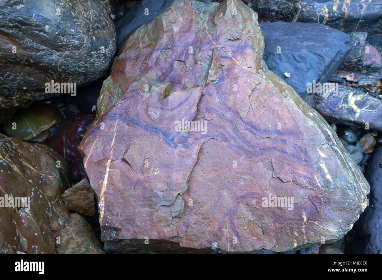 French cliff coast of the Armorican massif Stock Photo - Alamy